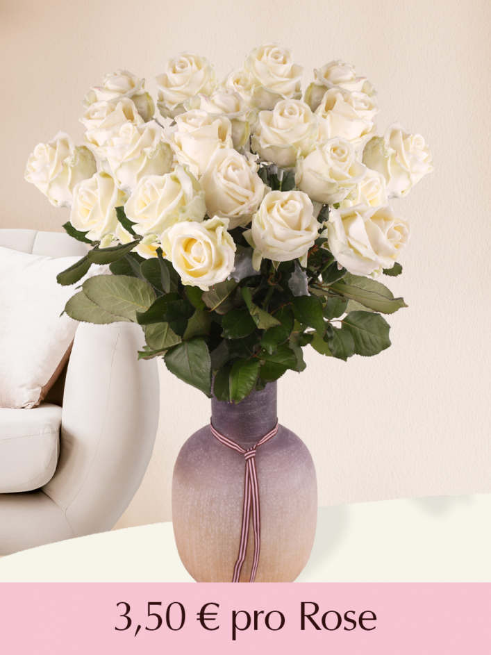 Weiße Wachsrosen - Stückzahl 10-99 | Surprose.de