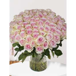 Bestelle einen Strauß aus 100 zartrosa Rosen | SURPROSE.de