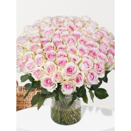Bestelle einen Strauß aus 100 zartrosa Rosen | SURPROSE.de