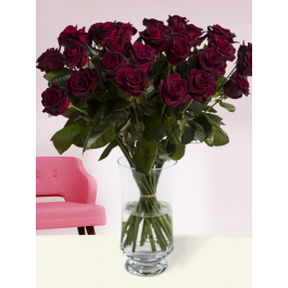 30 dunkelrote bis schwarze Rosen - Black Baccara | Surprose