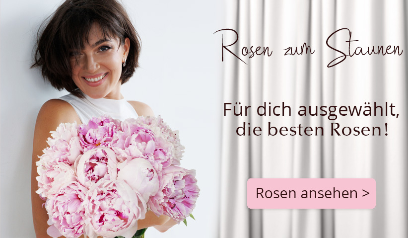 Rosen bestellen & verschicken | Online bei Surprose.de