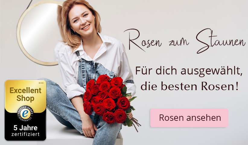 Rosen bestellen & verschicken | Online bei Surprose.de
