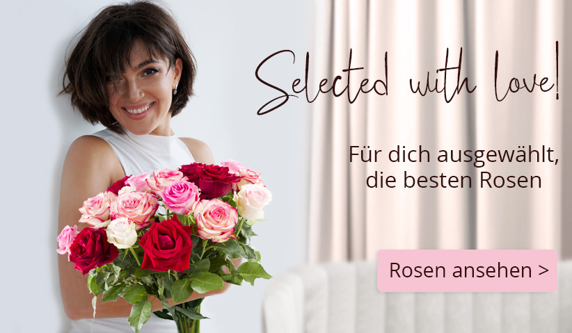 Rosen kaufen - Rosen online bestellen & verschicken | Surprose