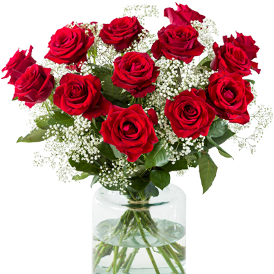 Rote Rosen bestellen | Frische Premium Rote Rosen | Surprose