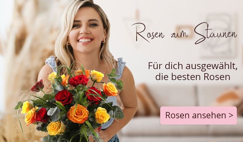 Rosen kaufen - Rosen online bestellen & verschicken | Surprose