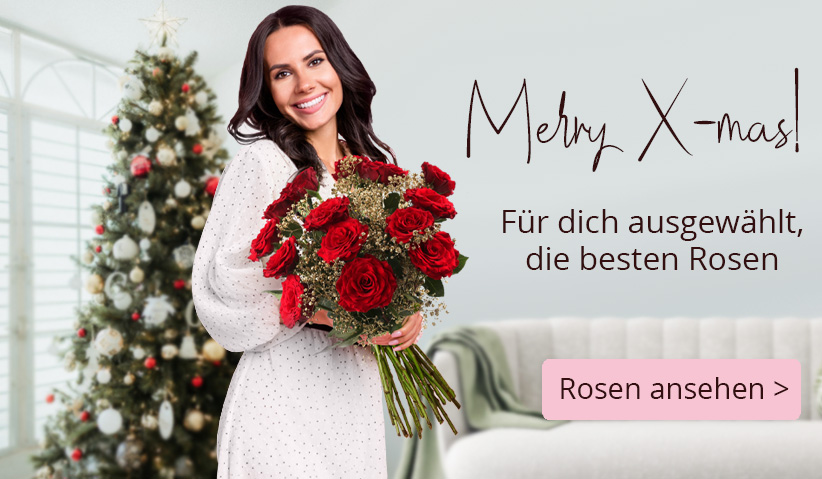 Rosen kaufen - Rosen online bestellen & verschicken | Surprose
