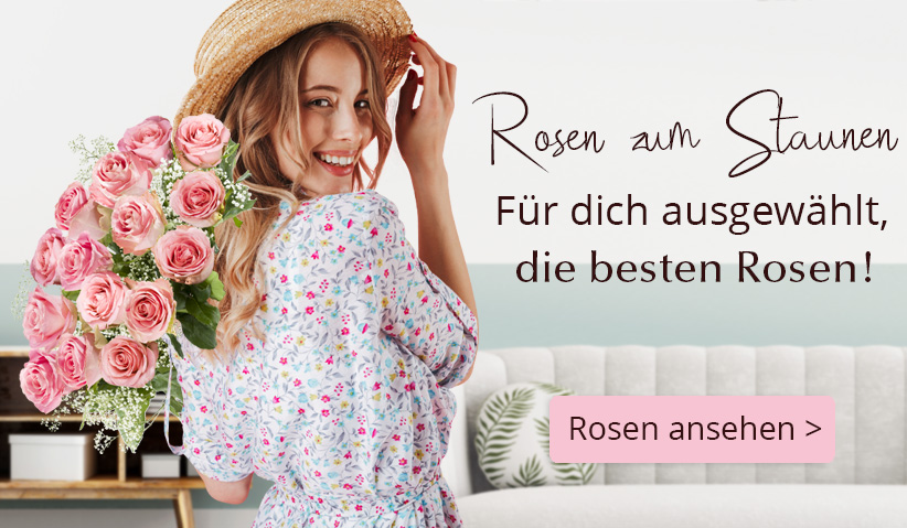 Rosen bestellen & verschicken | Online bei Surprose.de