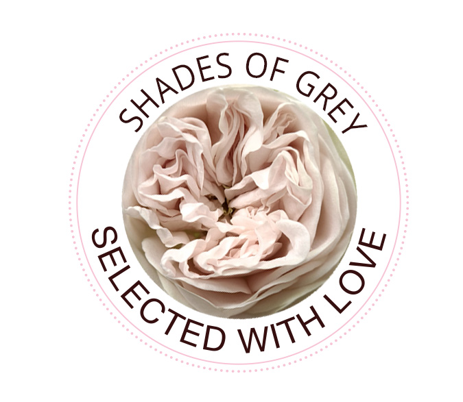 Rosenlexikon | Surprose.de